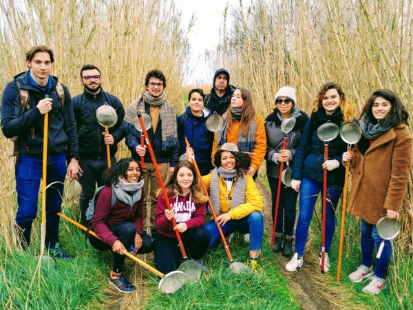Interactions Microorganismes-Hôtes-Environnements (IMHE) - Master ...