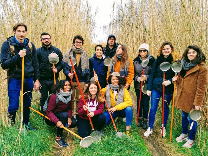 Interactions Microorganismes-Hôtes-Environnements (IMHE) - Master ...