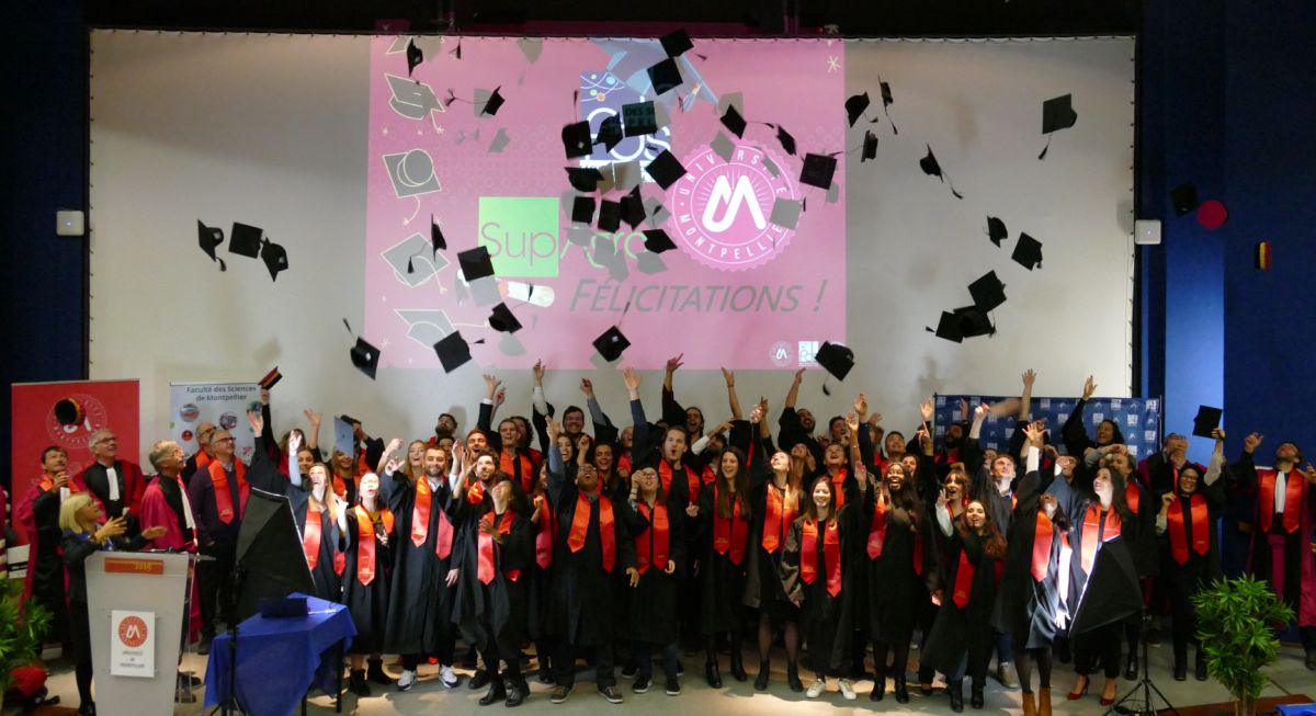 Interactions Microorganismes-Hôtes-Environnements (IMHE) - MASTER ...